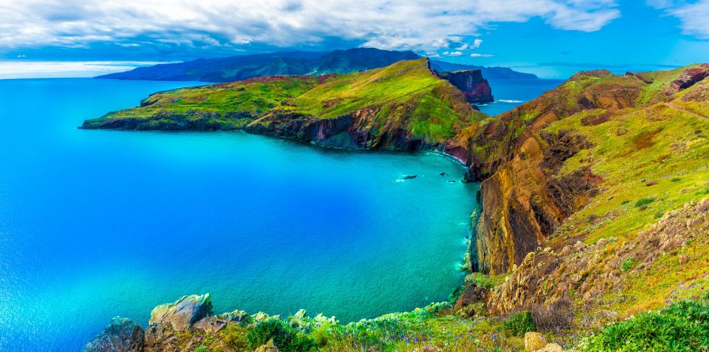 Visiting Madeira - New Leaves