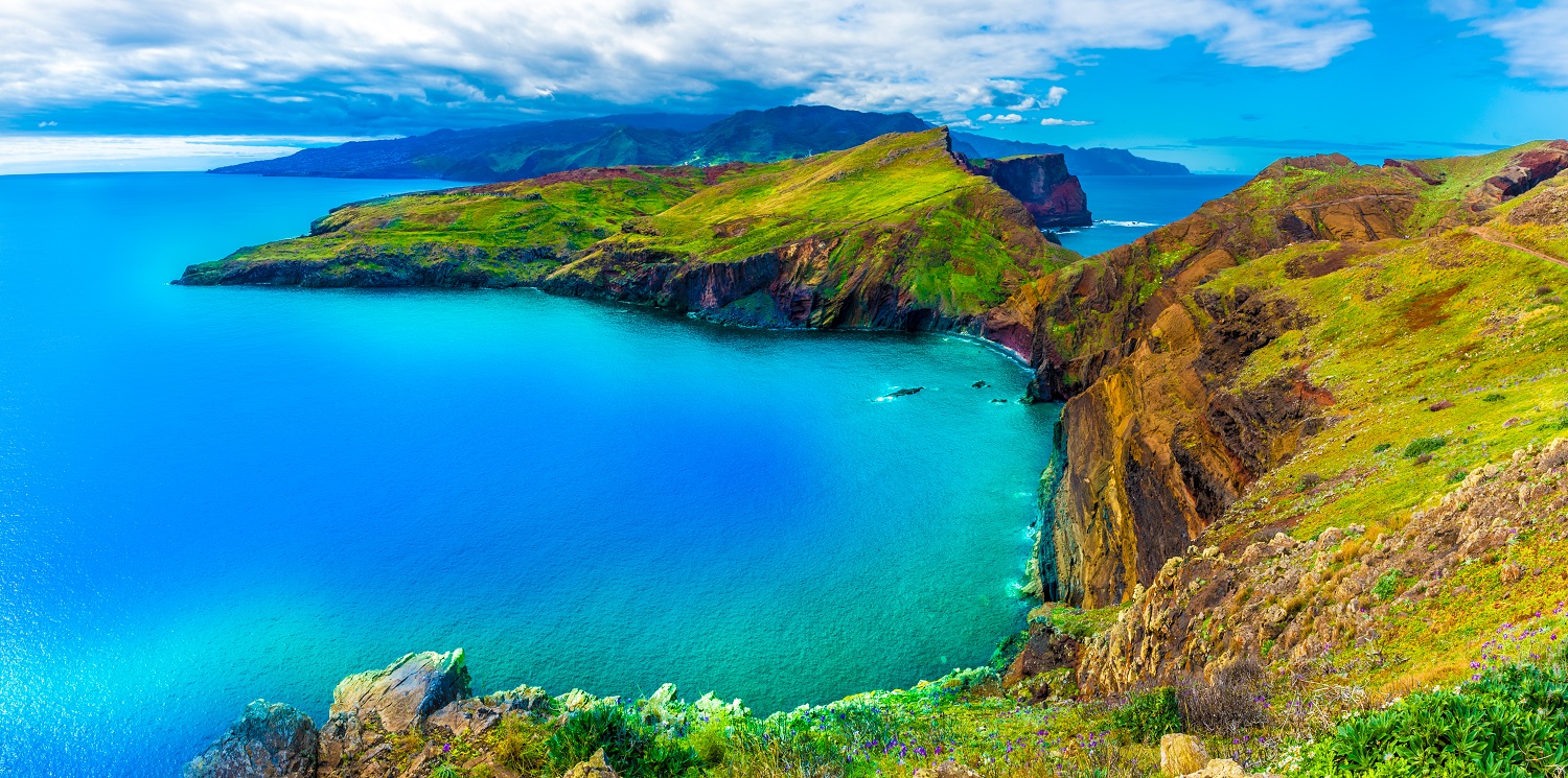 Visiting Madeira - New Leaves