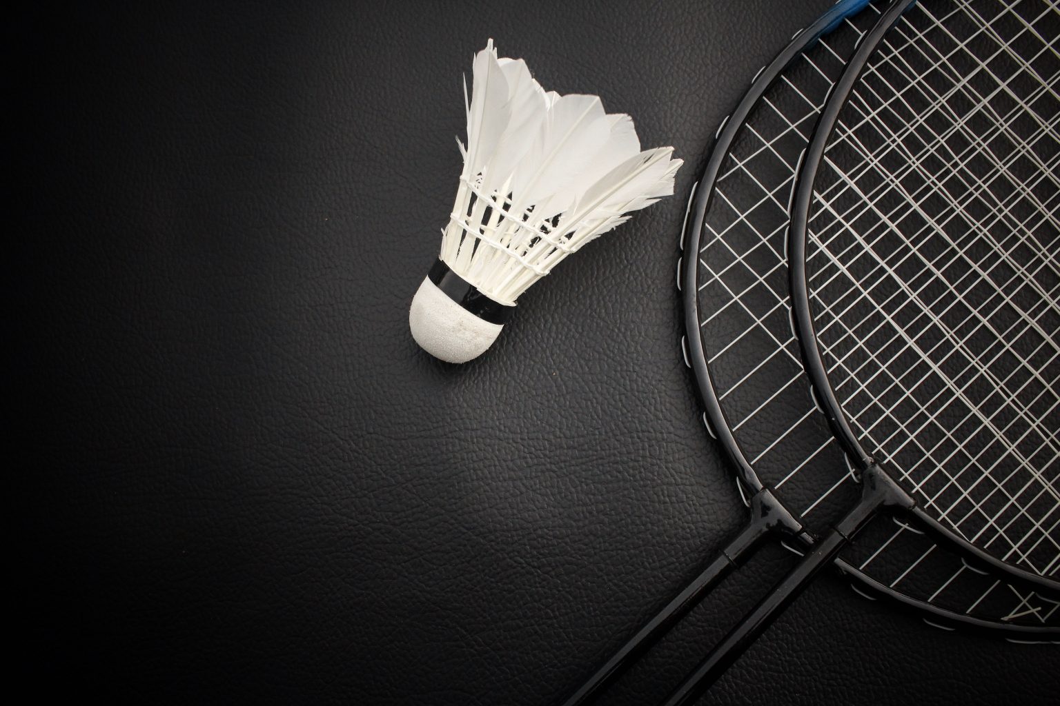 The Best Badminton Players in the World